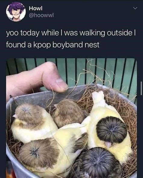 Saw This On Twitter So I Posted It On R Ihadastroke So I Posted It Here Now Too R Ezpz