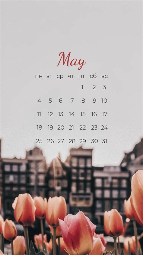 Календарь май 2020 заставка на телефон обои Календарь Нейтральные обои Обои