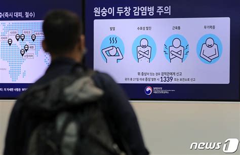 Who 원숭이두창 비상사태 선언 보류국내 방역에 미칠 영향은 뉴스1