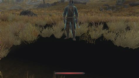 Black Gold Texas Tea Landscape Bug Skyrim Technical Support LoversLab