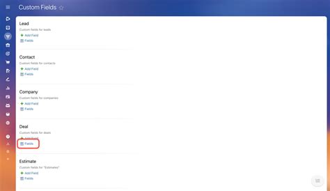 Custom Fields In Crm