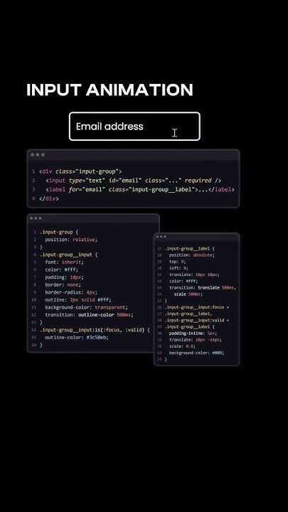Input Animation Css Javascript Webdevelopment Animation Youtube