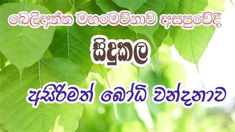 බෙලිඅත්ත මහමෙව්නාව අසපුවේ සිදුකල අසිරිමත් බෝධී වන්දනාව Youtube