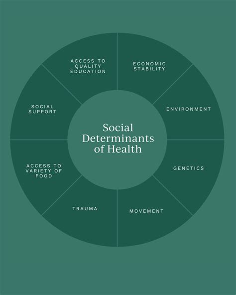 Redefining Well Being Exploring Social Determinants Of Health
