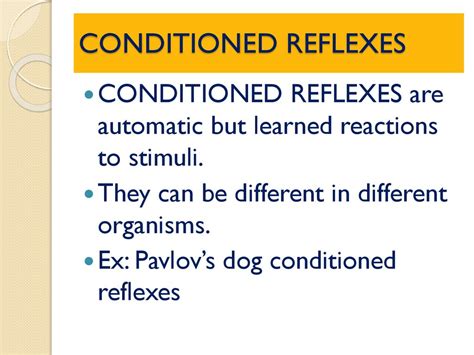 Reflex Nature And Behavior презентация онлайн