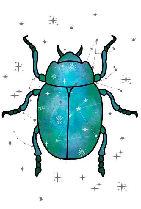 Download Beetle Insect Bug Royalty Free Stock Illustration Image Pixabay