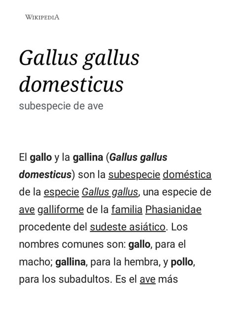 Gallus Gallus Domesticus Wikipedia La Enciclopedia Libre Pdf