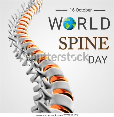 Spine Clipart Vector