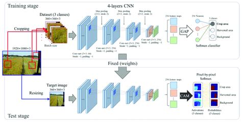 Proposed Weakly Supervised Crop Area Segmentation The Upper And Lower