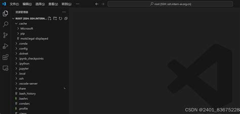 第四期书生大模型实战训练营 入门岛 第一关 linux 基础知识 csdn博客