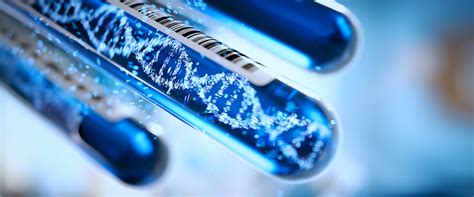 The Best Dna Extraction Methods From Saliva Or Buccal Swabs