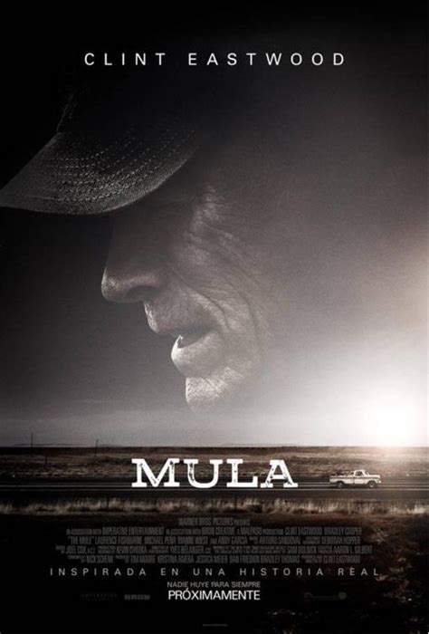 Recomendación Fílmica La Mula Iusnava