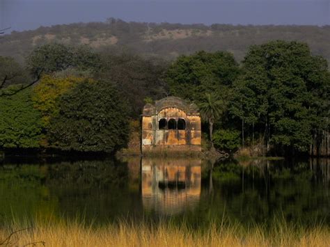 Dscn5203 Avinash Vora Flickr