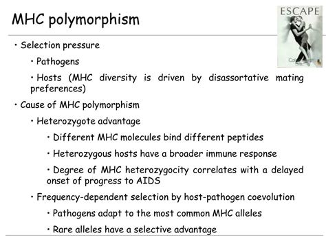 Ppt Mhc Polymorphism Powerpoint Presentation Free Download Id1277416