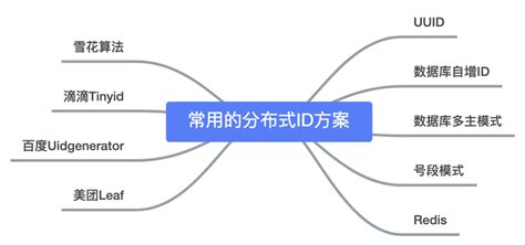 9种 分布式id生成方案，让你一次学个够 Java进阶课 Segmentfault 思否