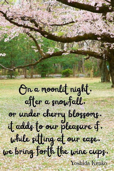 165 Beautiful Cherry Blossom Quotes And Captions For Instagram Artofit