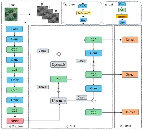 Camellia Oleifera Tree Detection And Counting Based On Uav Rgb Image And Yolov8