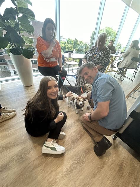 Ciara Wallace On Linkedin Regenerondublin Pride Dspca Community Teambuilding