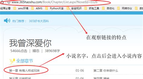 Python爬取小说详解（一） Tooltime 博客园