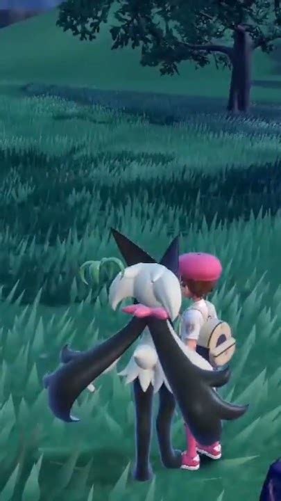 Pokemon R34 Pokemonscarletandviolet Meowscarada Youtube