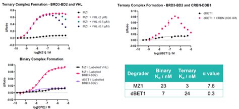 Using Spectral Shift In Drug Discovery Projects