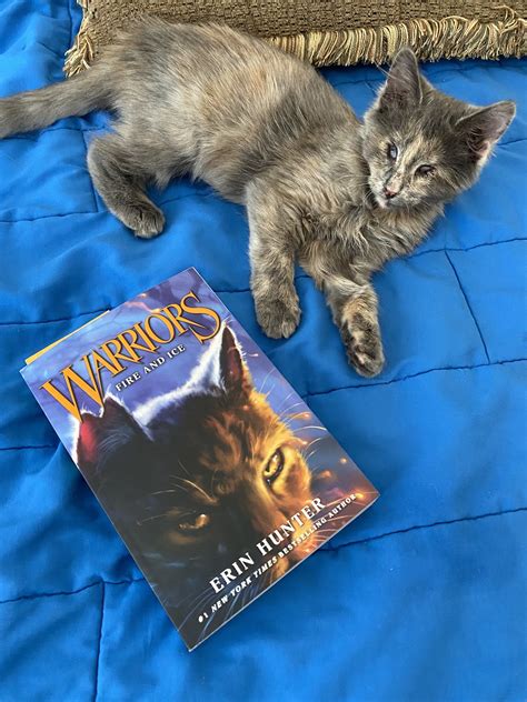 Warriors Cats Fire And Ice