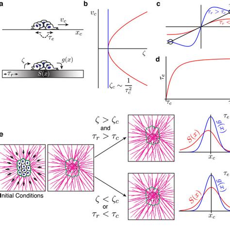 Theoretical Model Of Persistent Migration On A Viscoelastic Substrate Download Scientific