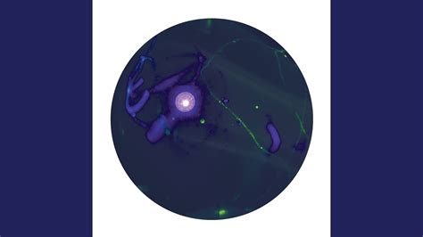 Morphogenic Fields Galactic Mix Youtube