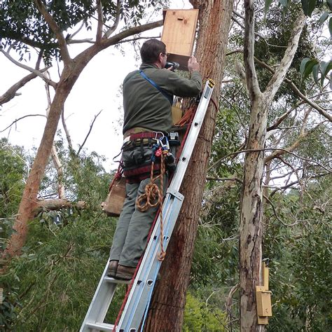 Nest Box Installation FauNature