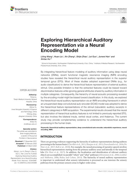 Pdf Exploring Hierarchical Auditory Representation Via A Neural Encoding Model