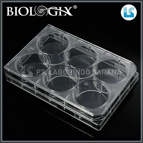 Jual Multi Well Cell Culture Plate 6 Well Microplate Sterile