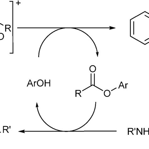 Reaction Of Amines With Cyclic Ethers Download Table