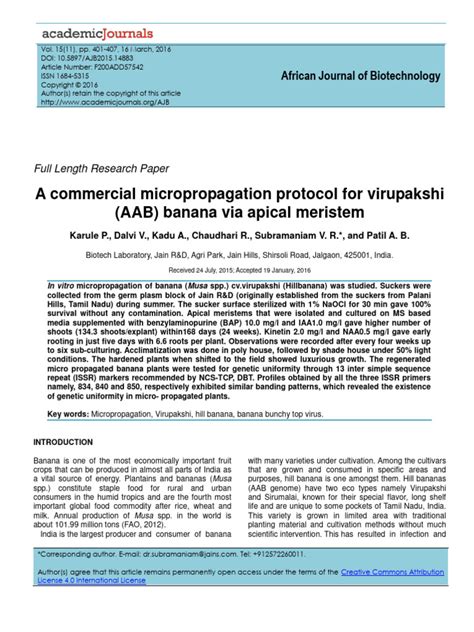 A Commercial Micropropagation Protocol For Virupakshi Pdf Banana