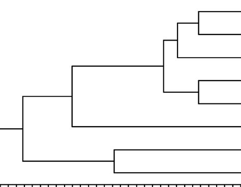 Cluster Analysis Of Vicia Faba Using The Jaccard Coefficient And Upgma