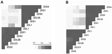 Pairwise D Ld Based On Cramer S V Correlation Coefficient Between