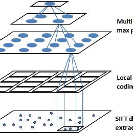 The Illustration Architecture Of Our Algorithm Based On Sparse Coding Download Scientific