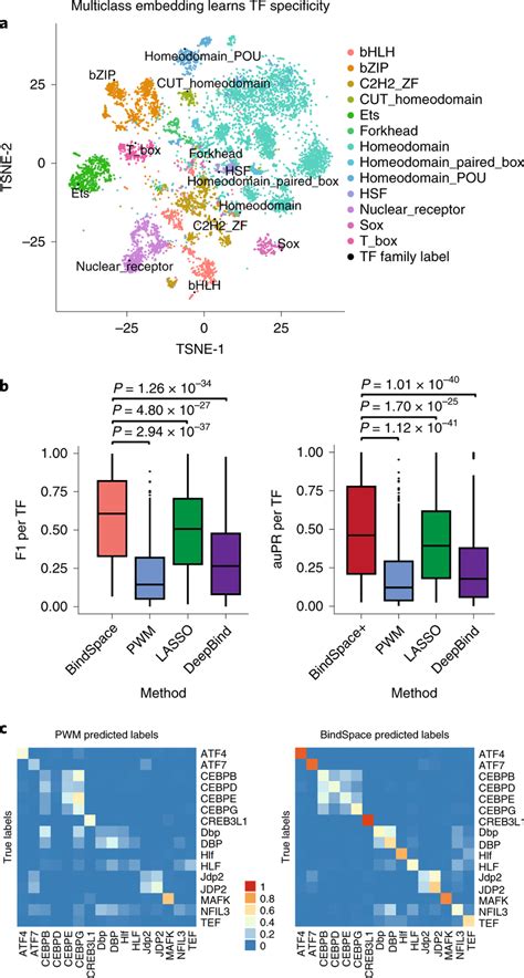 Bindspace Accurately Predicts Tf Binding And Distinguishes Between Tf Download Scientific