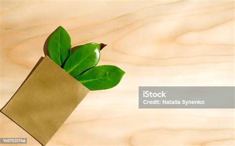 환경 친화적 인 포장 종이 재활용 폐기물 제로 천연 제품 개념 0명에 대한 스톡 사진 및 기타 이미지 0명 Championship 개체 그룹 Istock