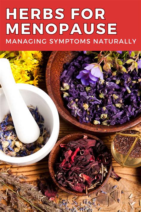 Herbs For Menopause Managing Symptoms Naturally