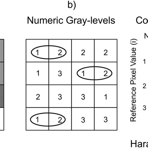 Haralick Texture Features Are Calculated From The Gray Level Download Scientific Diagram