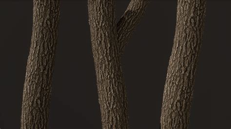Artstation Sweetgum Tree Bark Vol2 Resources