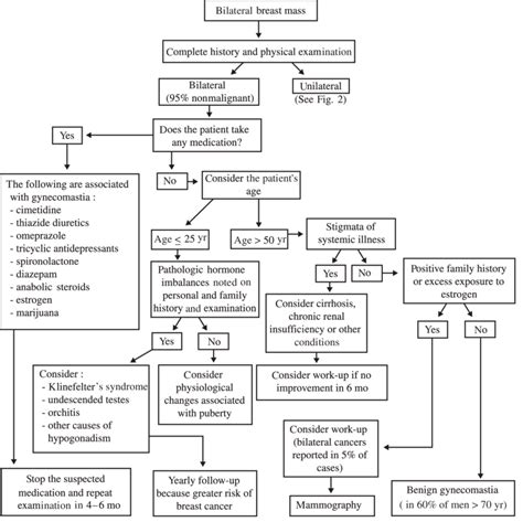 Suggested Algorithm For The Work Up Of A Bilateral Breast Mass In Men Download Scientific Diagram