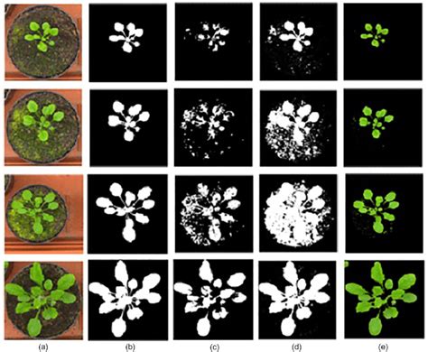Leaf Region Extraction Of Individual Plant Images Using Various Download Scientific Diagram