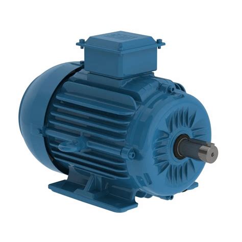weg high efficiency ie2 3 phase cast iron induction motor at ₹ 5000