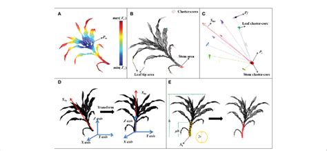 Flow Chart Of The Stem Segmentation Process A A Thermodynamic Download Scientific Diagram