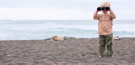 Automation Testing Behavior Driven Vs Model Based