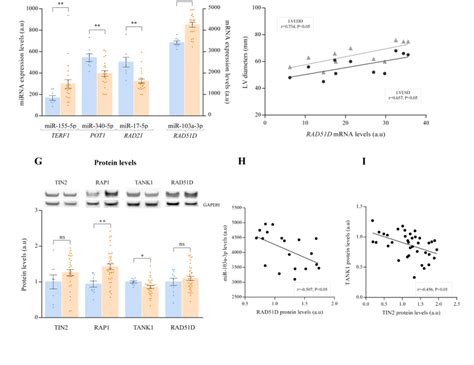 Dot Plot Graph Of Mrna Mirna And Protein Expression Levels Of Main