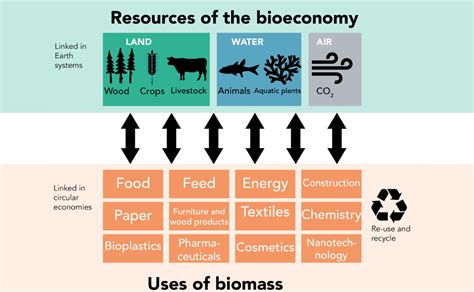 Why Bioeconomy Monitoring Monitoring Biooekonomie De