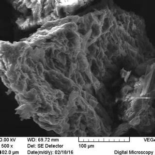 The SEM Image Of TC Download Scientific Diagram