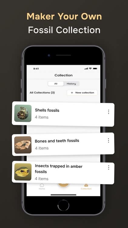 Fossil Identifier By Sinh Nguyen Mai